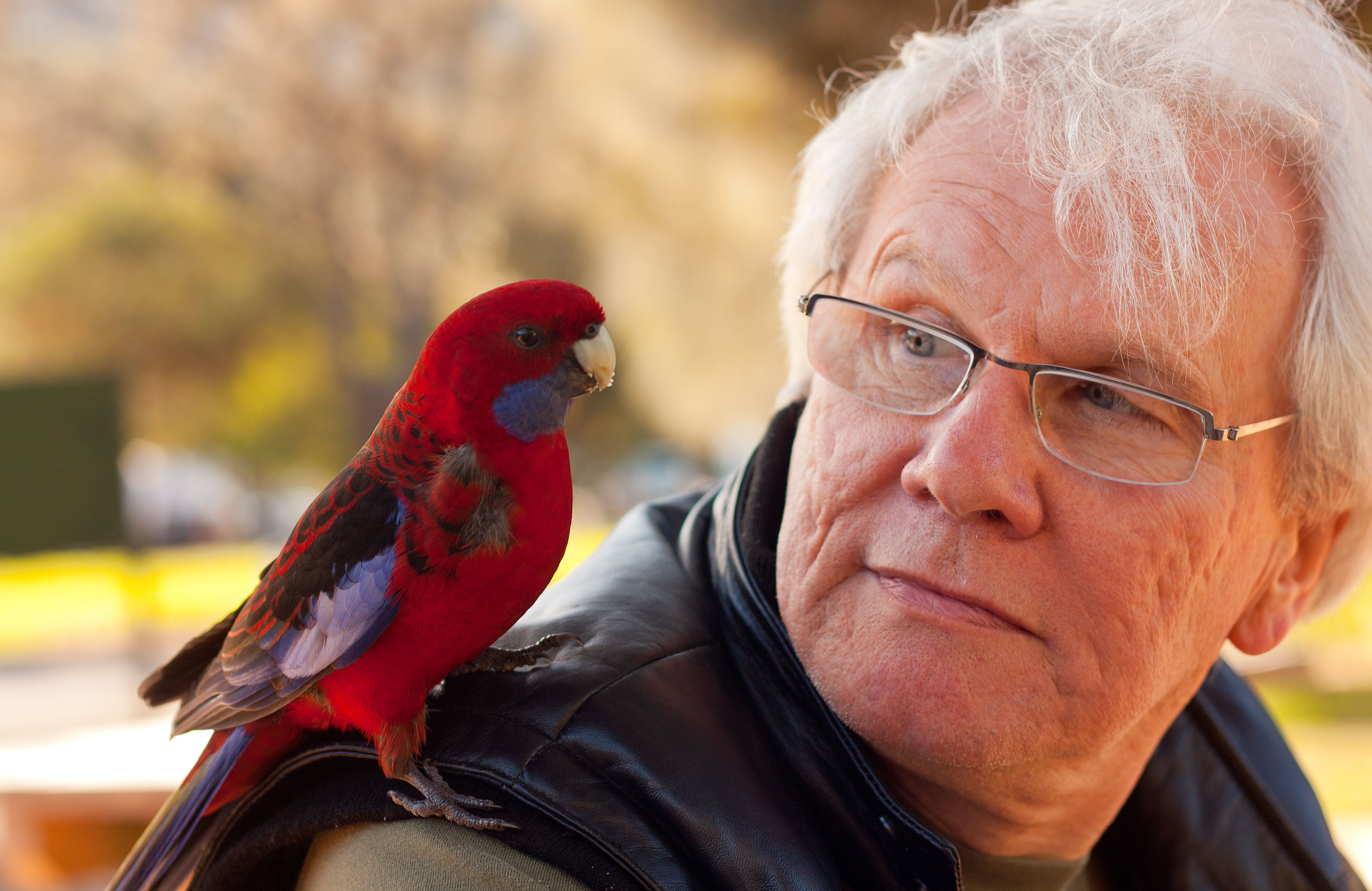 Q&A with Jack Dann – From Earth to the Stars